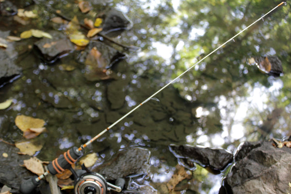 ACE Custom Rods-Custom Add Ons